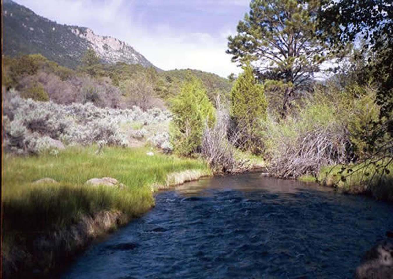 January 2025 Lesson Photos – Santa Clara, Utah – Daughters of Utah Pioneers